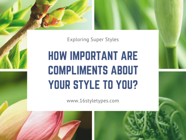 Exploring Super Styles - How Important Are Compliments About Your Style ...